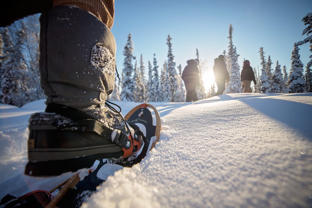 Blachford Winter & Spring Aurora Activities and Experiences