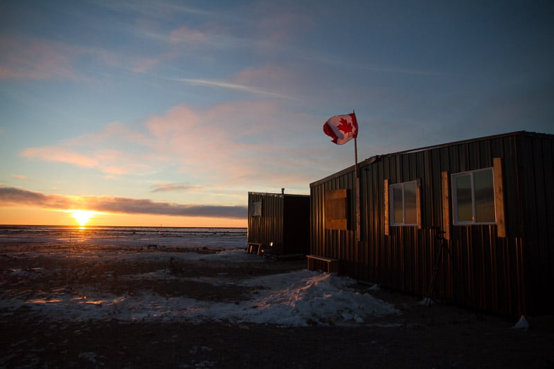 The Great Polar Bear Migration with Arctic Kingdom