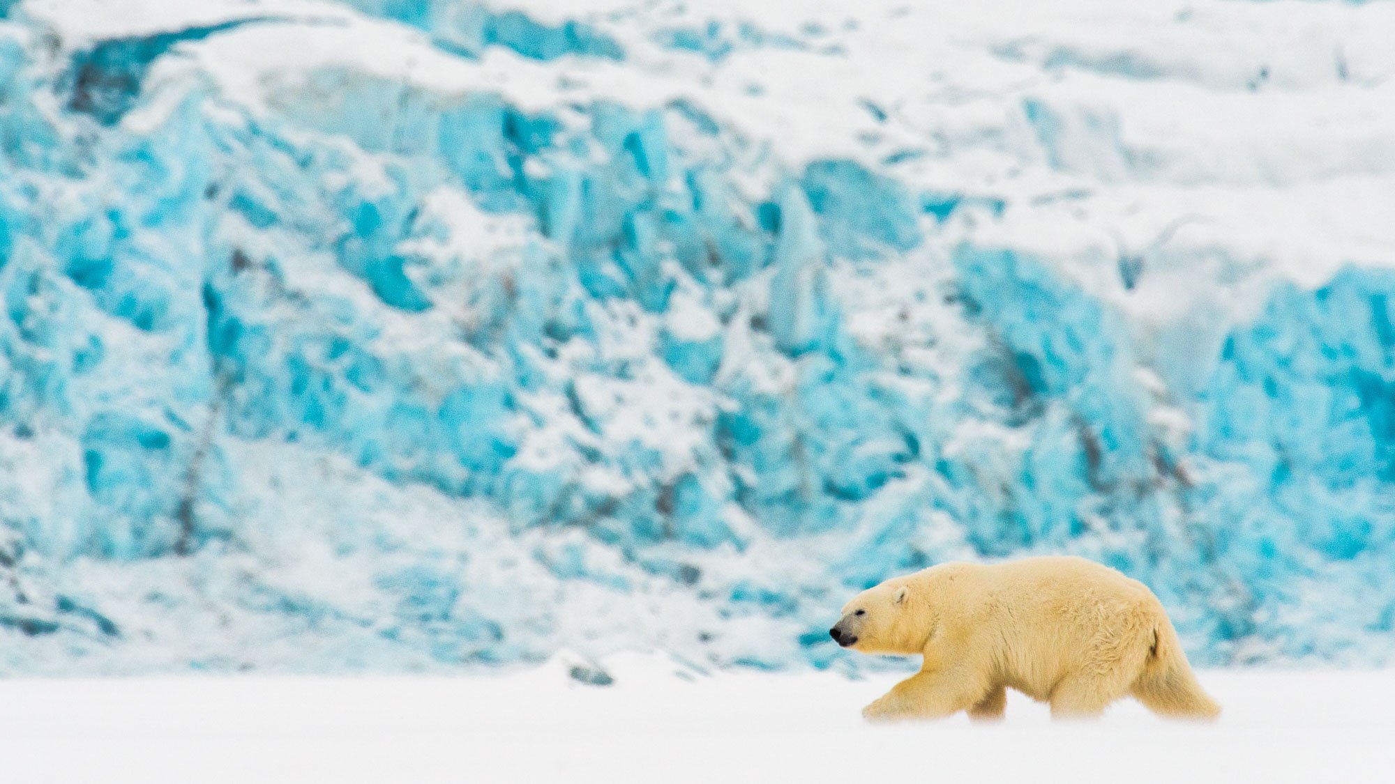 Ultimate Svalbard Expedition - Signature Journeys