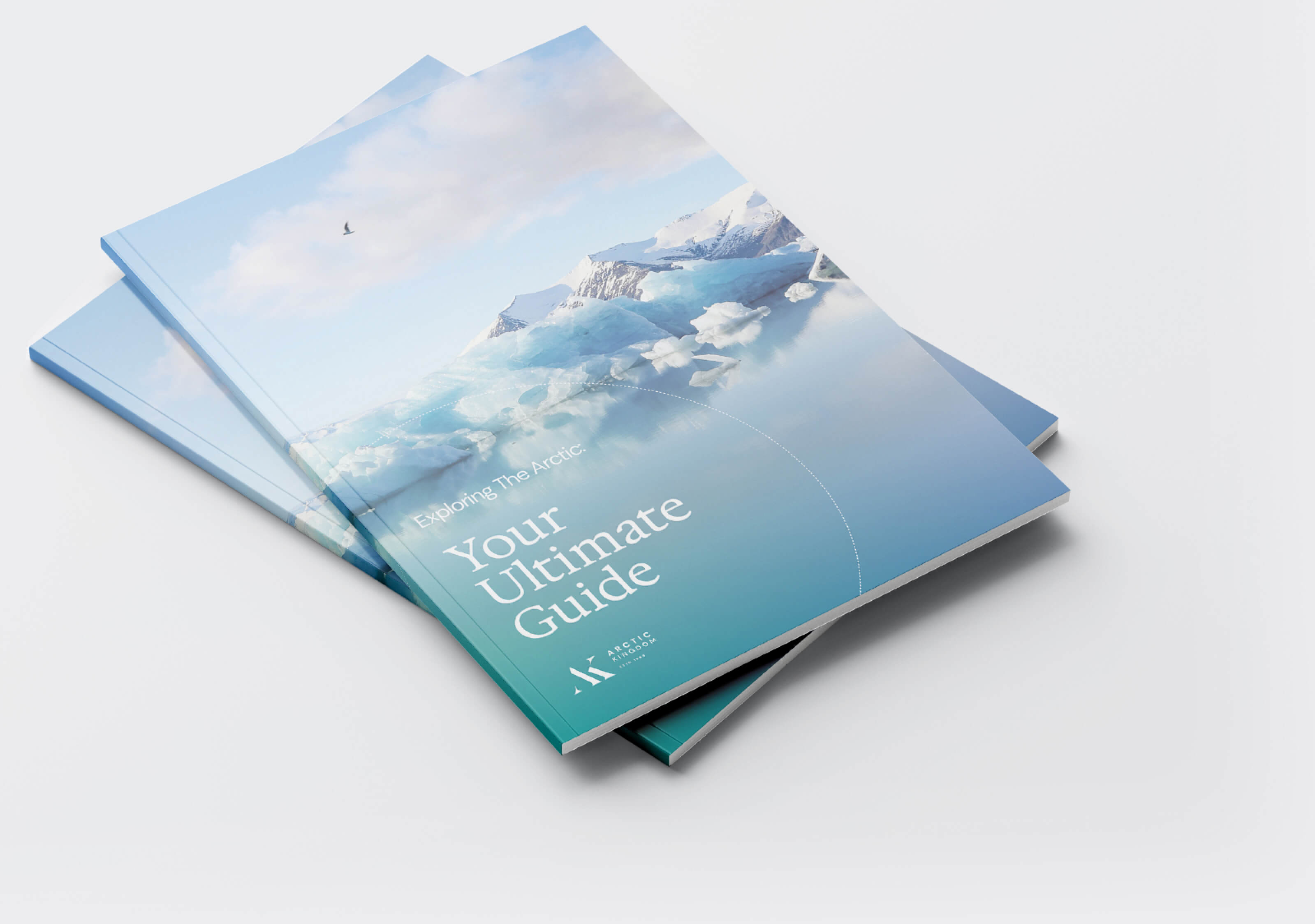 Briefing Guide Template