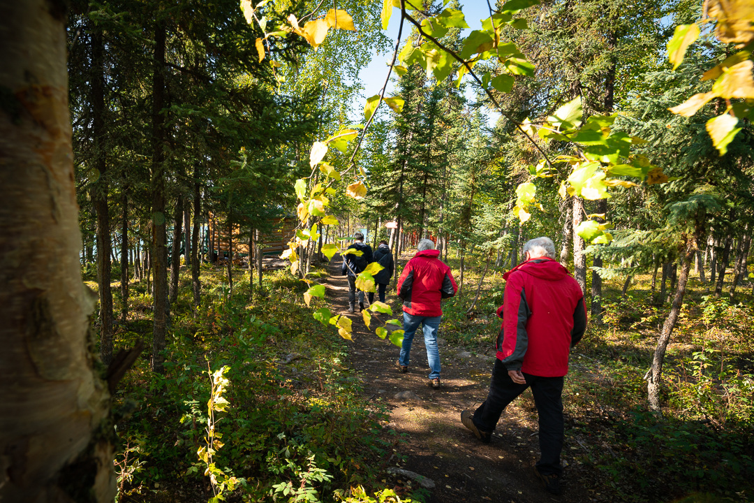 Blachford - Autumn Aurora Packages