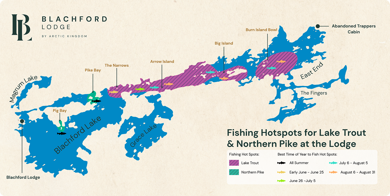 Blachford Lodge Fishing Packages: Trophy Trout & Northern Pike